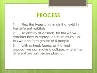 ANIMALS | PDF