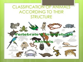 ANIMALS | PPT