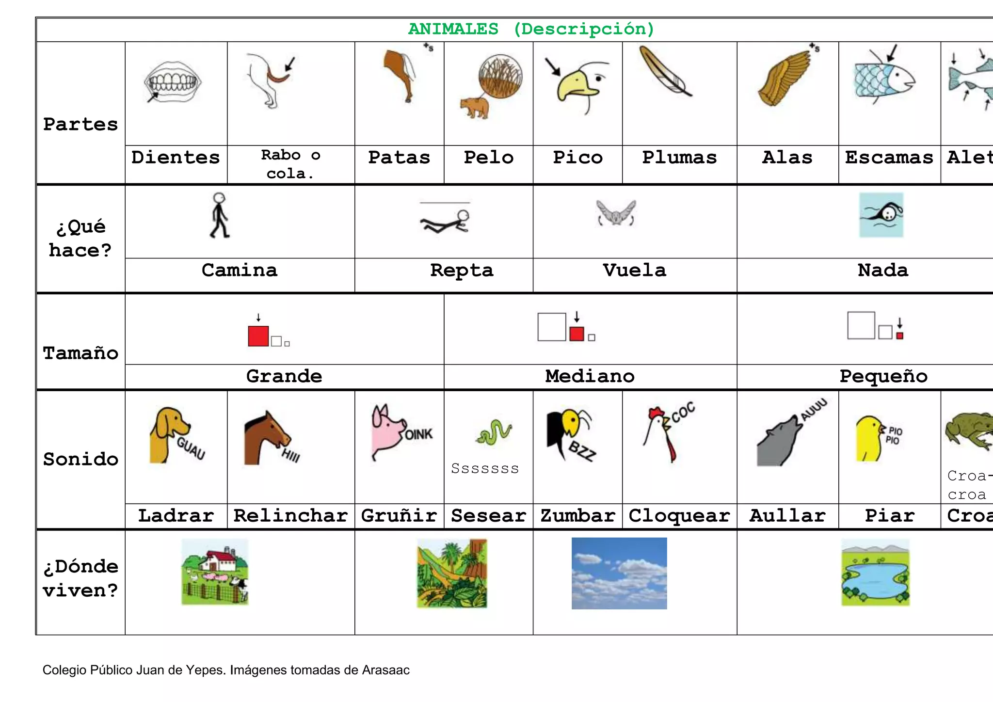 Descripción de Animales ,Personas y Objetos | PPT
