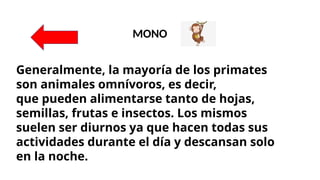 animales diurnos y nocturnos para los alumnos | PPTX