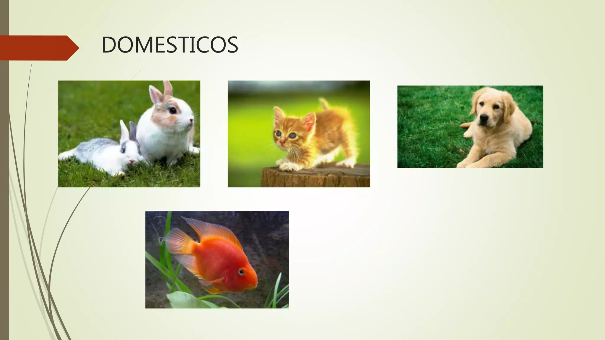 Animales domesticos y de granaja | PPTX