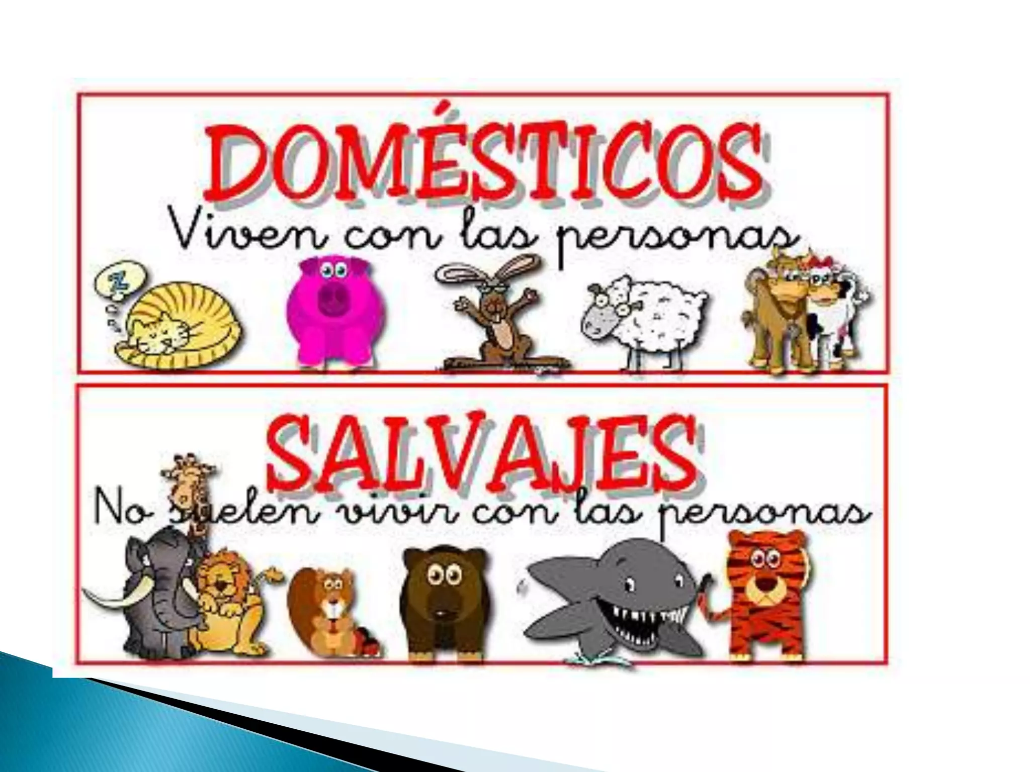 Animales domésticos y salvajes | PPTX | Pets