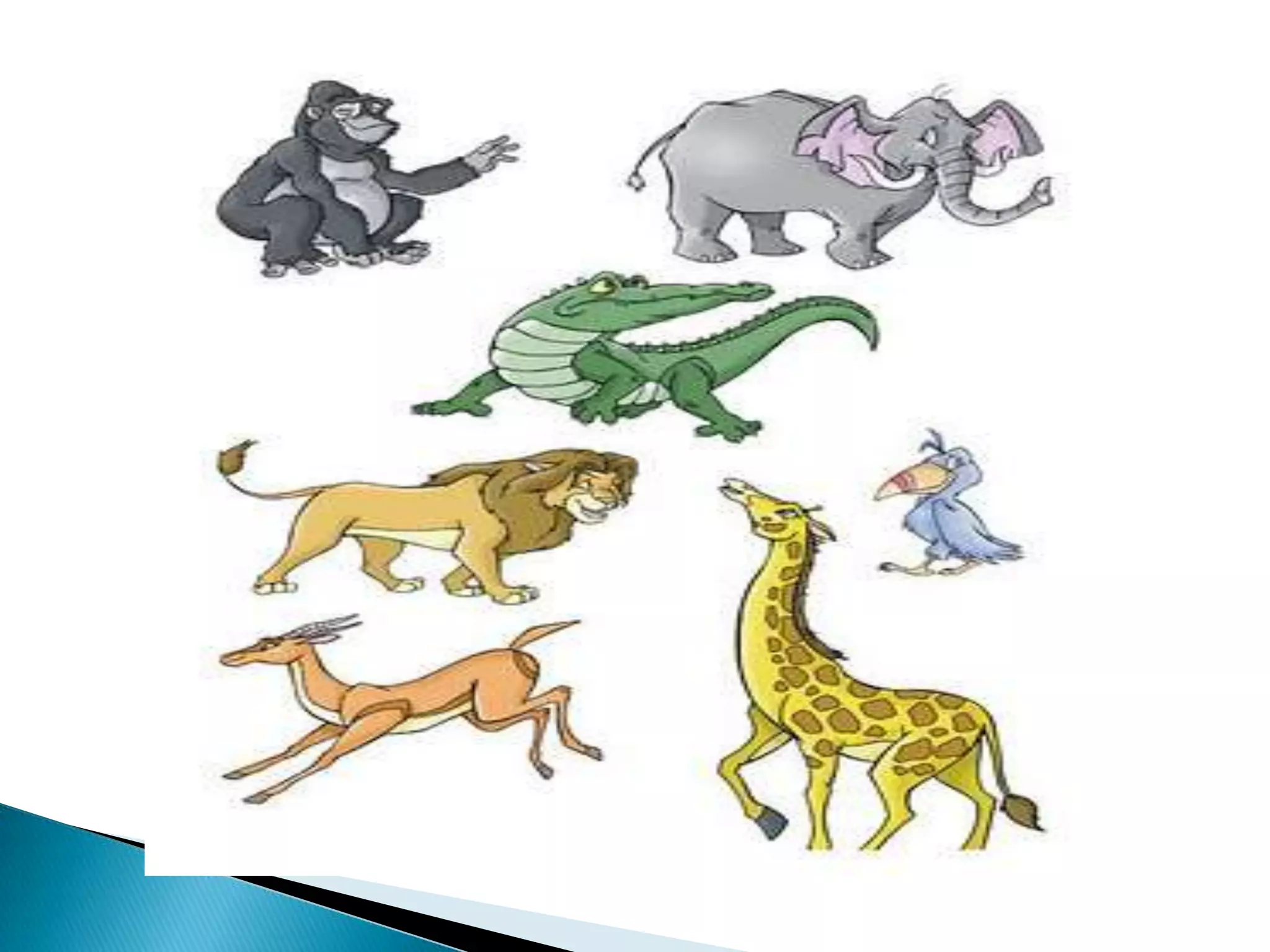 Animales domésticos y salvajes | PPTX | Pets