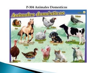 Animales domésticos y salvajes | PPTX