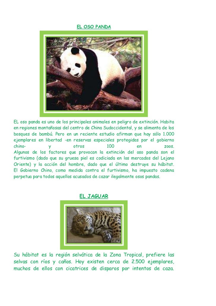 Ejemplo De Un Texto Informativo Corto Para Ninos Ejemplo Sencillo Images Ejemplo De Un Texto Informativo Corto Para Ninos Ejemplo Sencillo Images