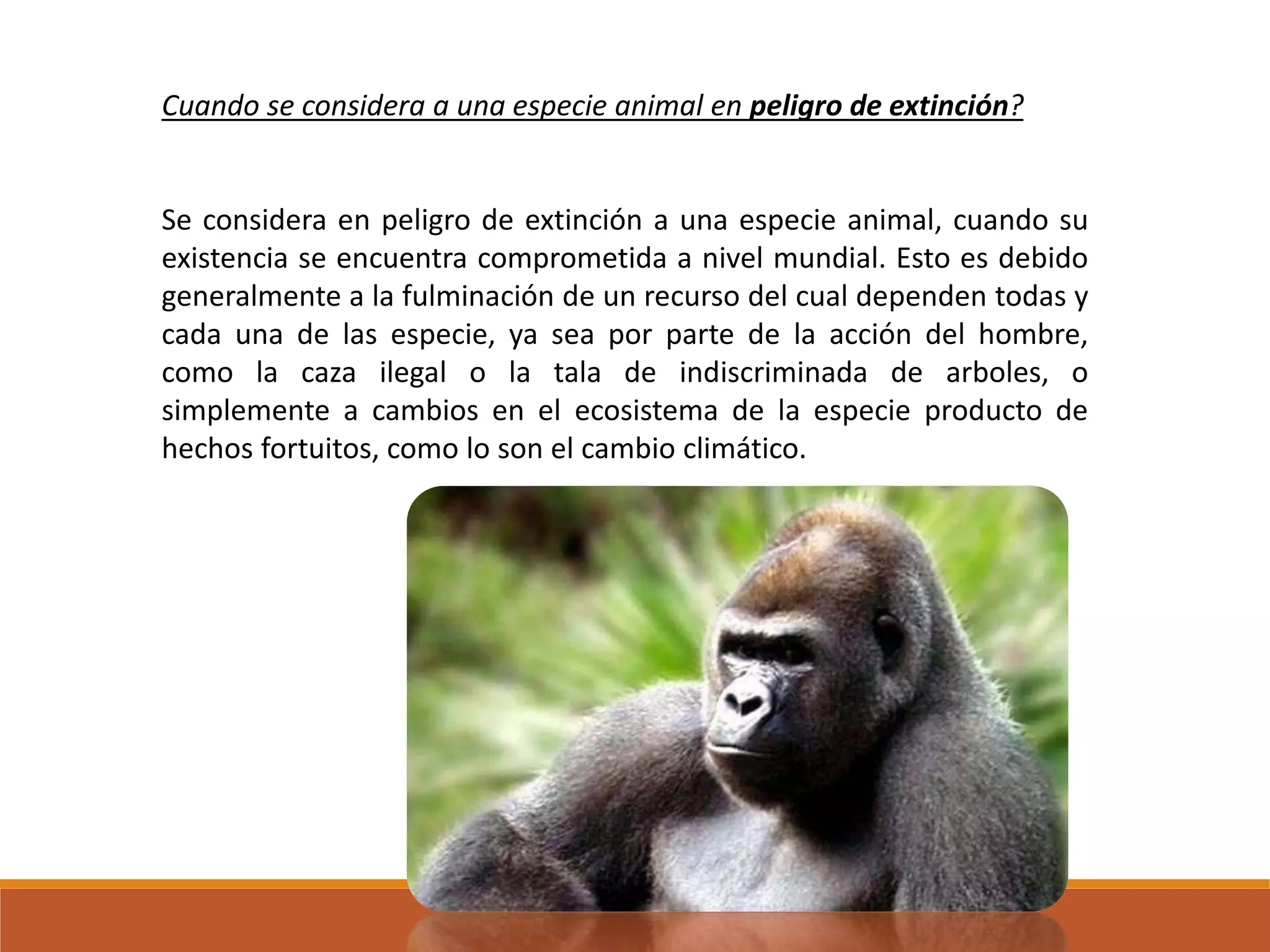 Animales en peligro de extinción | PPT