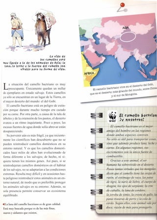 Animales en peligro de extinción | PDF