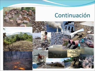 Animales en peligro de extinción en puerto rico | PPT