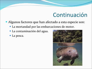 Animales en peligro de extinción en puerto rico | PPT