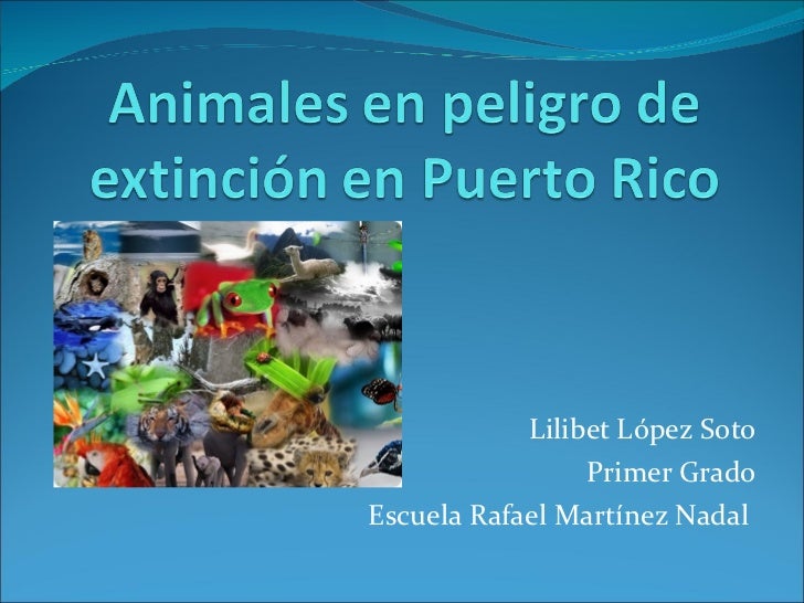 Animales en peligro de extinción en puerto rico