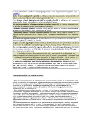 Animales en peligro de extincion | DOCX