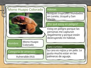 ANIMALES EN PELIGRO DE EXTINCION DE PERU | PPTX