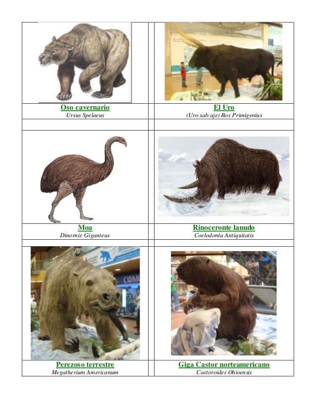 Animales Era De Hielo