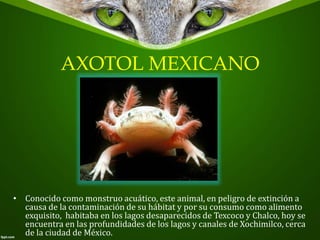 Animales exoticos | PPTX