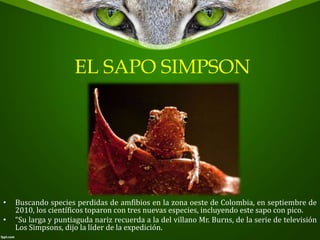Animales exoticos | PPTX