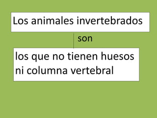 Animales invertebrados | PPTX