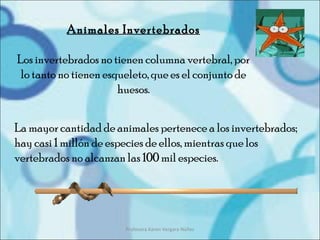 Animales invertebrados | PPT
