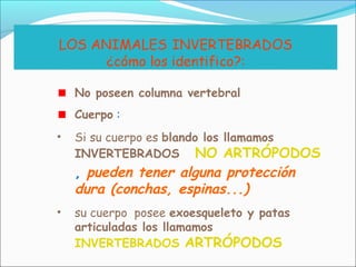 Animales invertebrados | PPT