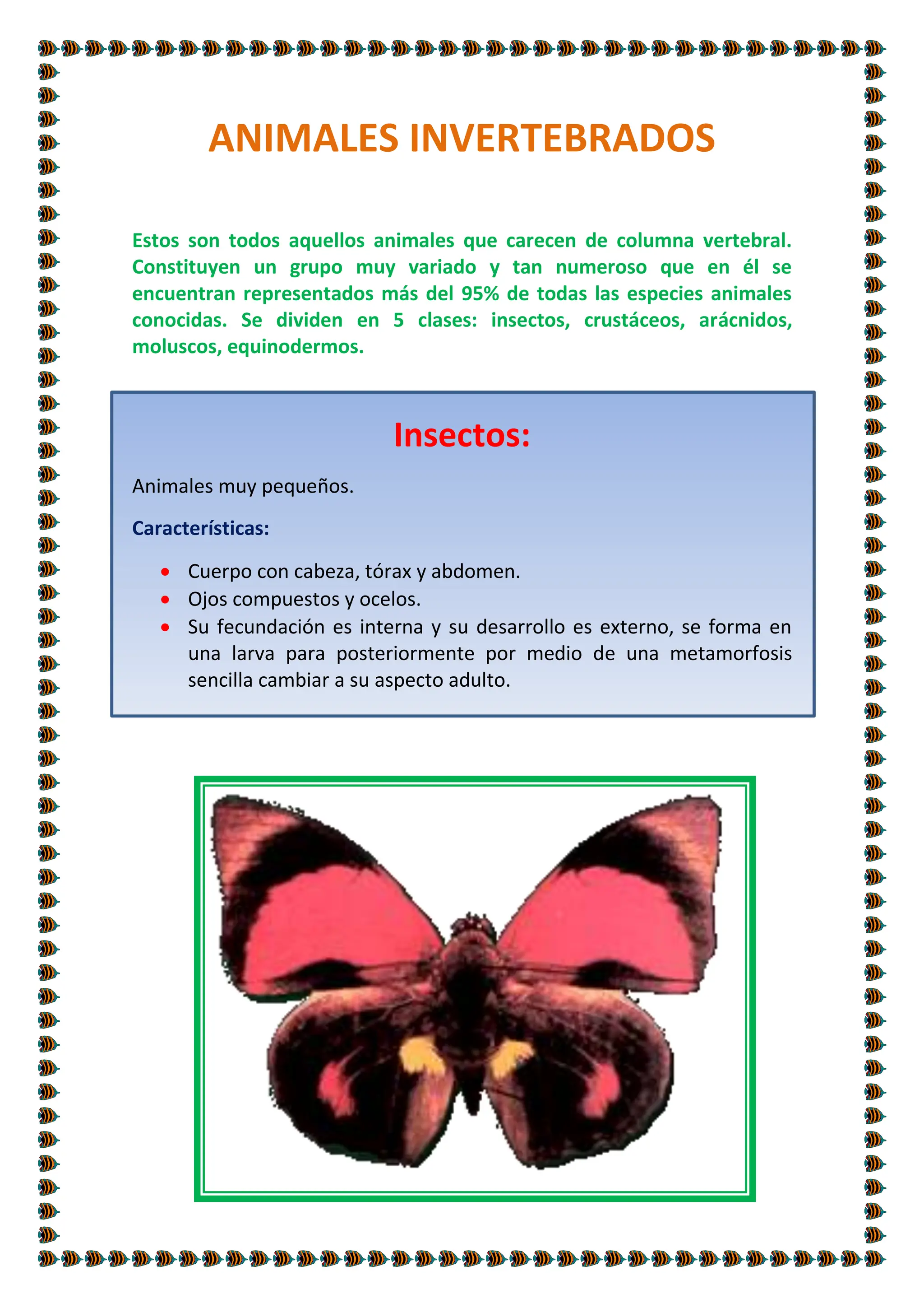 50 Ejemplos De Animales Invertebrados