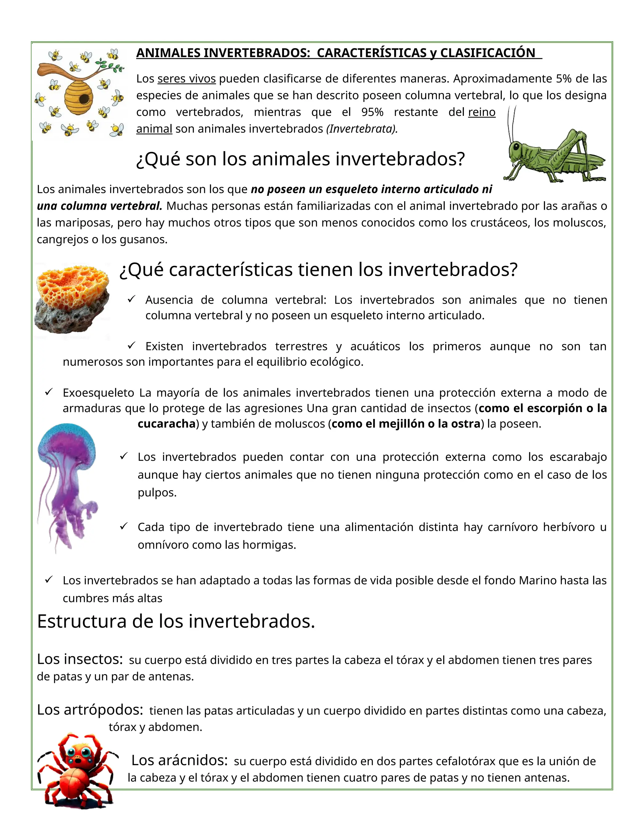 35 Animales Invertebrados Ejemplos Y Caractersticas Con Fotos