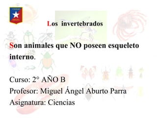 Animales invertebrados blog | PPT