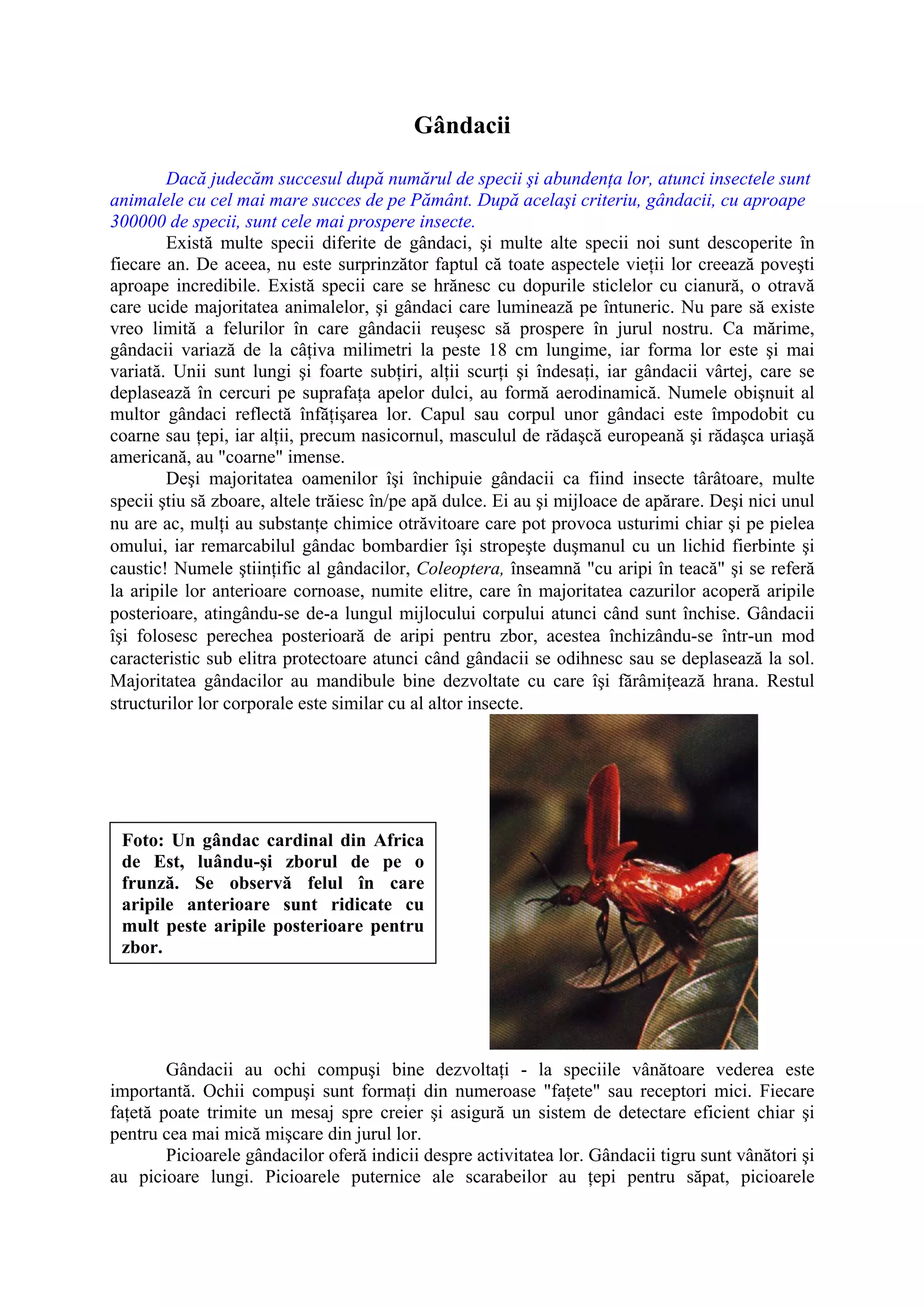 Animale si plante 0105-0108 - gandacii | PDF