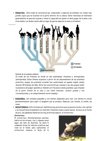 Animales mamíferos | DOC