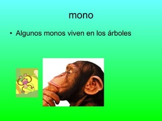 Animales Mamiferos | PPT