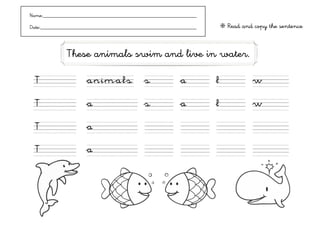 Animales marinos fichas[1] | PDF