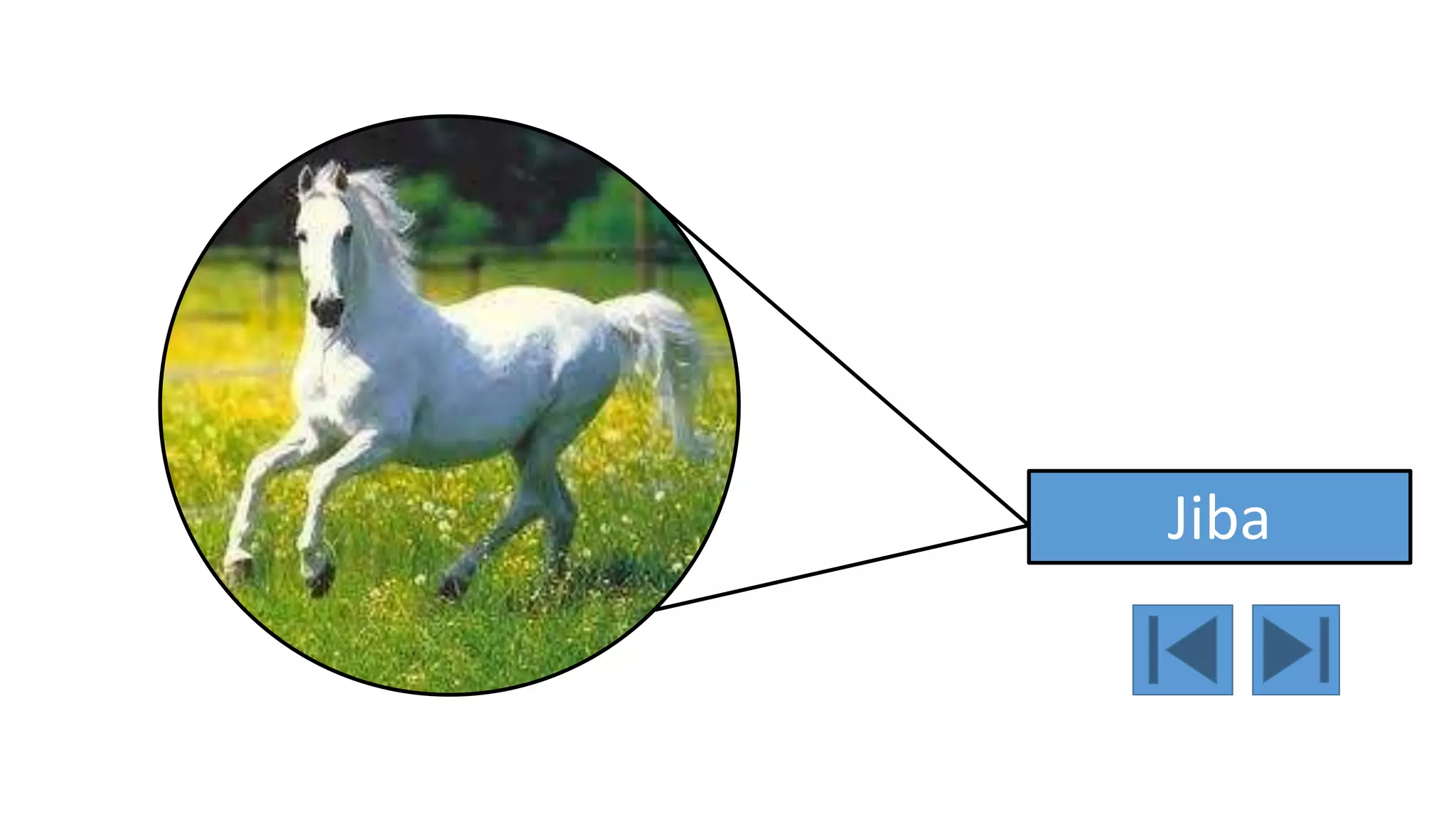 Animales nasa en Nasa yuwe | PPTX