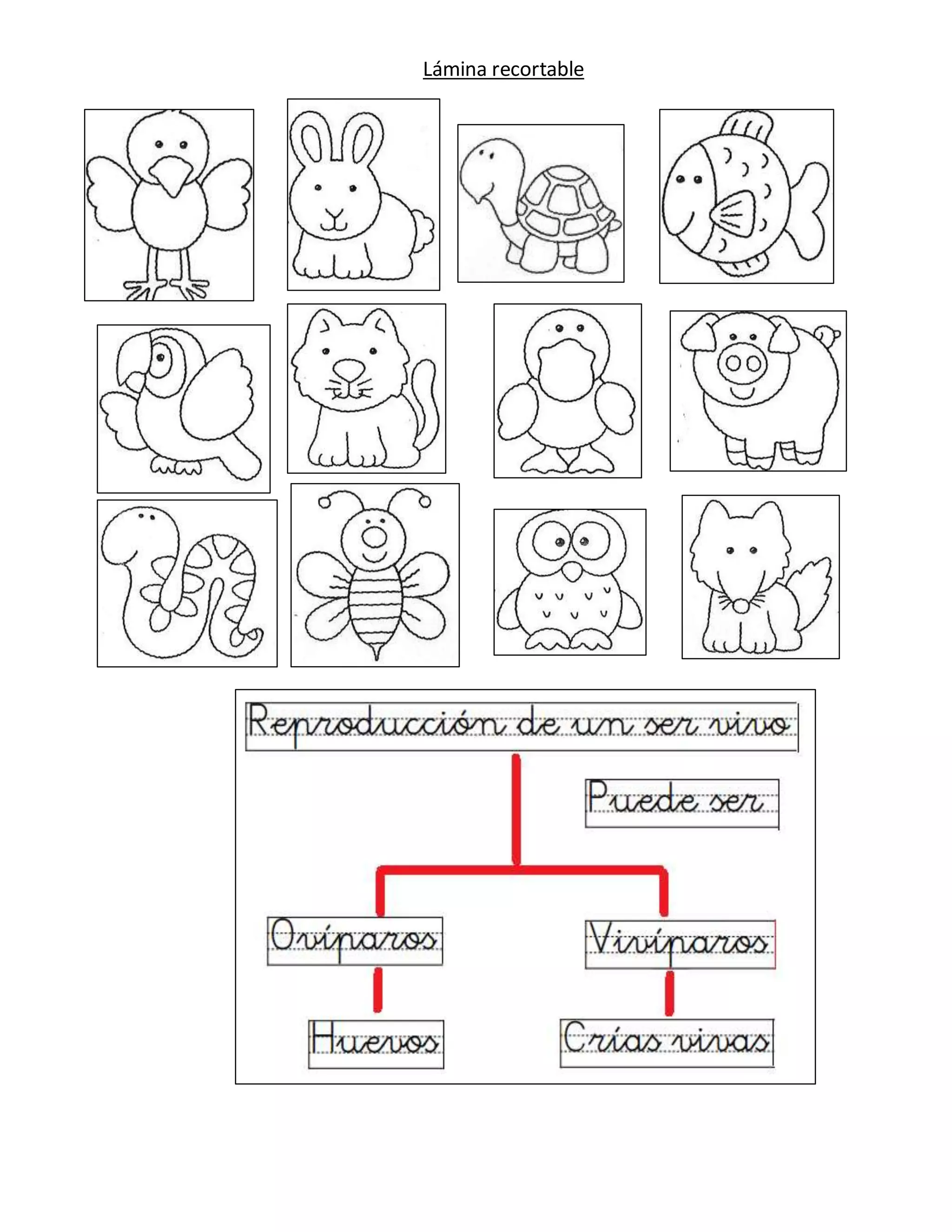 ANIMALES OVIPAROS Y VIVIPAROS.docx