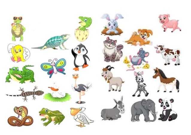 ANIMALES OVIPAROS Y VIVIPAROS.docx