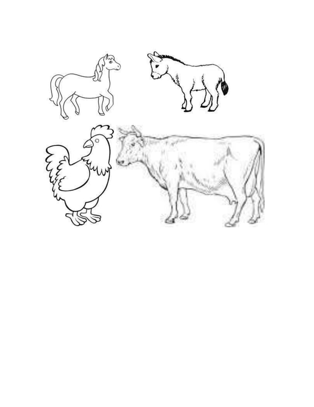 Animales para colorear | PDF