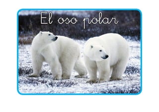 animales polares.pdf