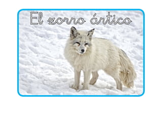 animales polares.pdf
