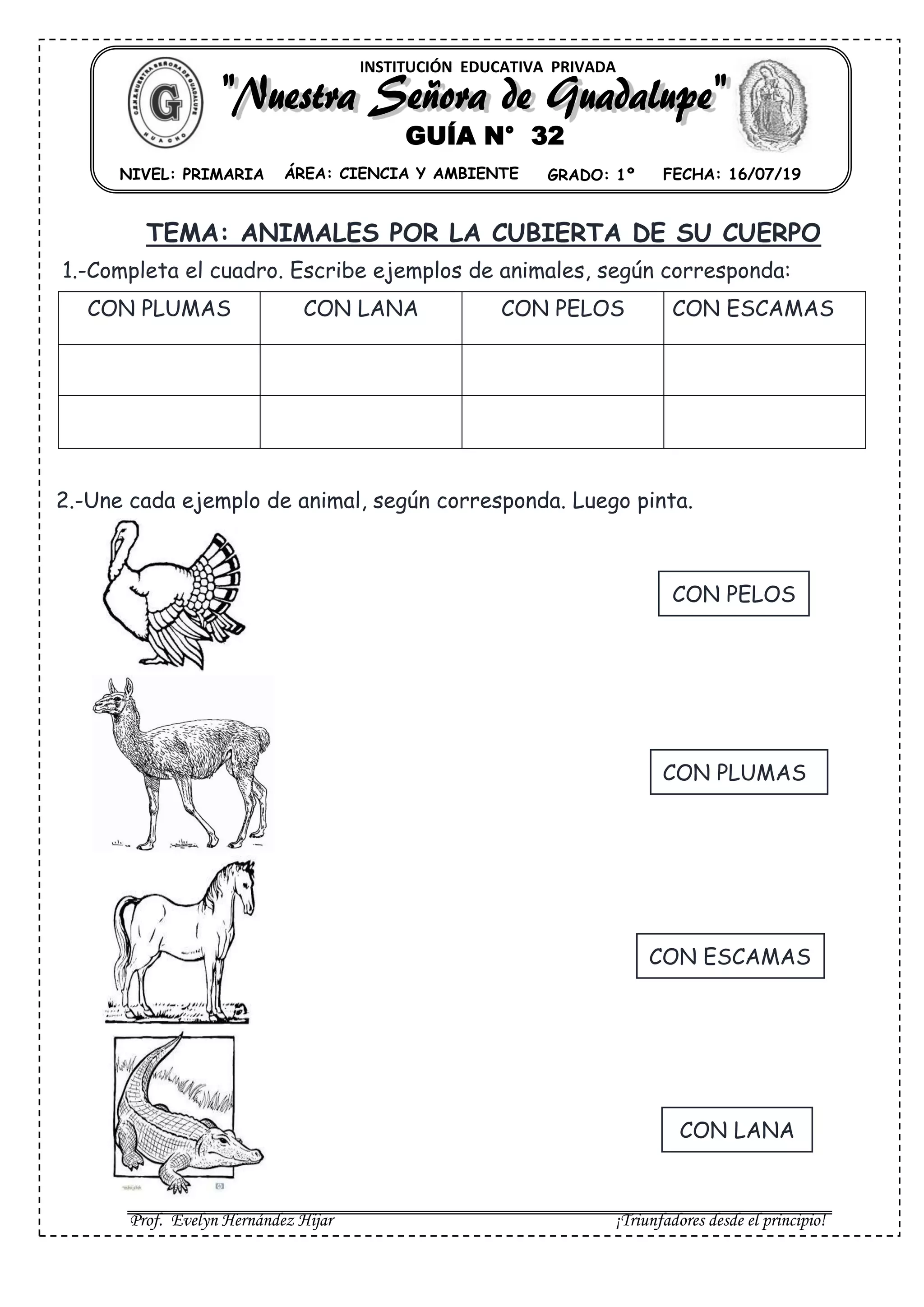 Animales por su cubierta de su cuerpo 32 | PDF