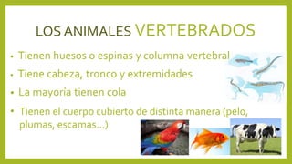 Animales power point | PPTX