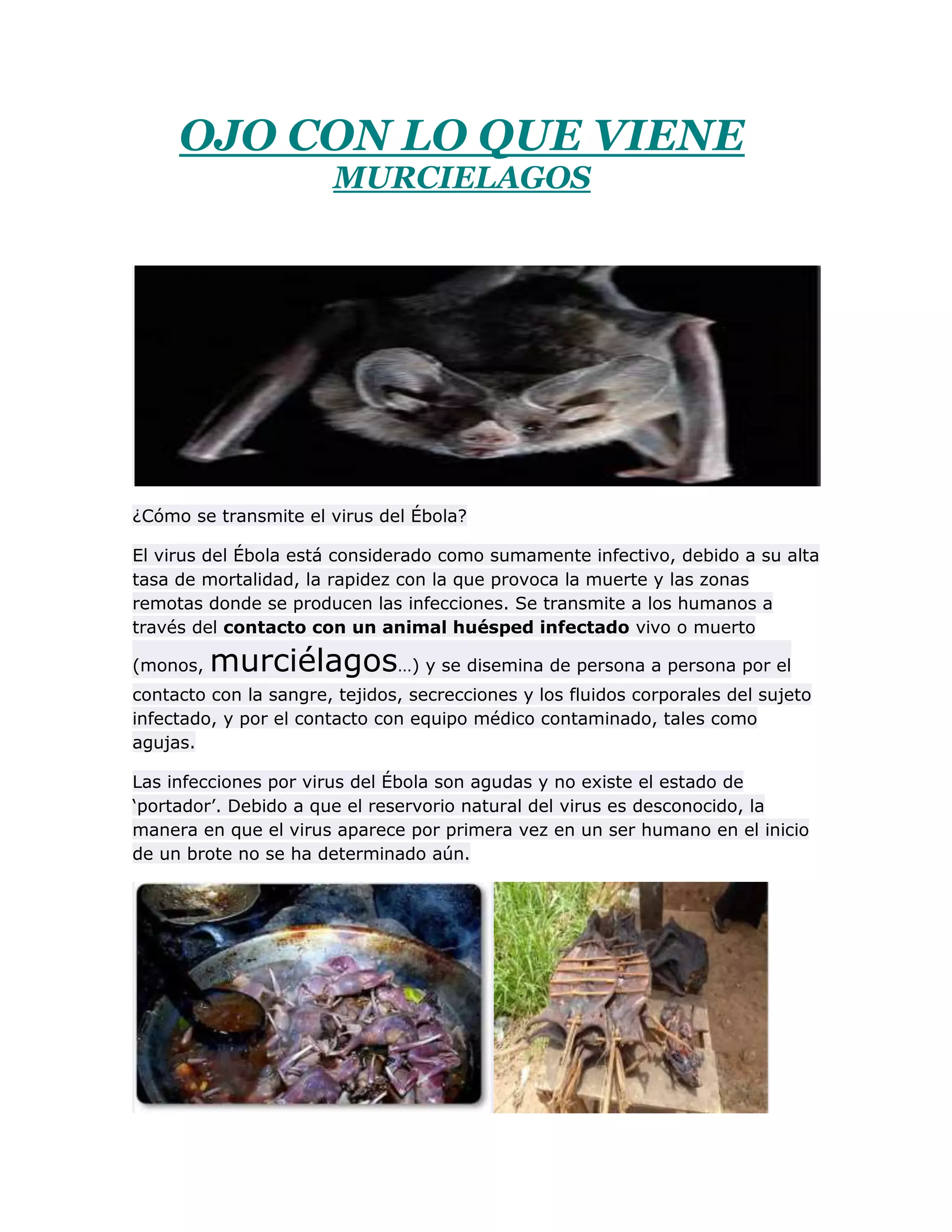 levitico 11 Animales puros e impuros | DOCX