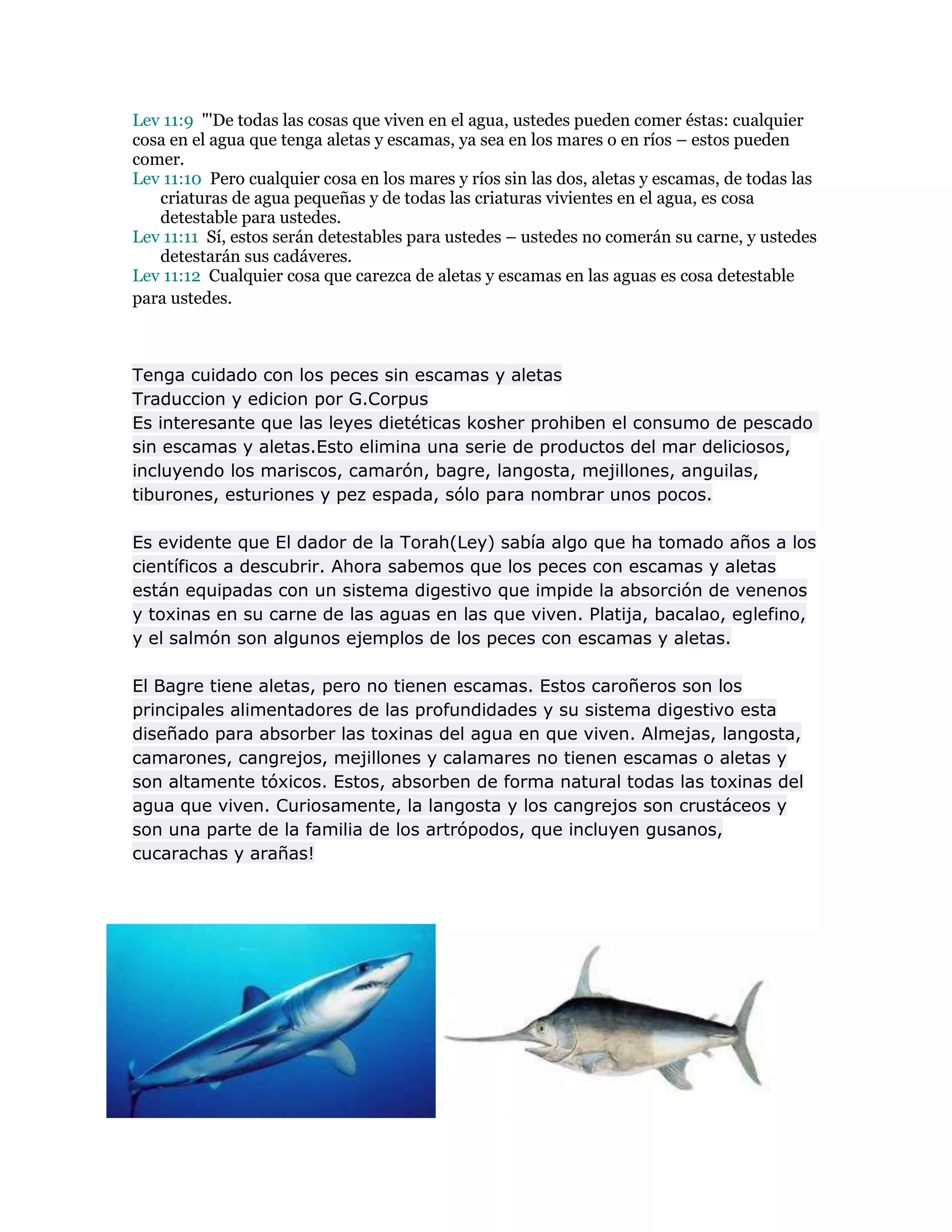levitico 11 Animales puros e impuros | DOCX