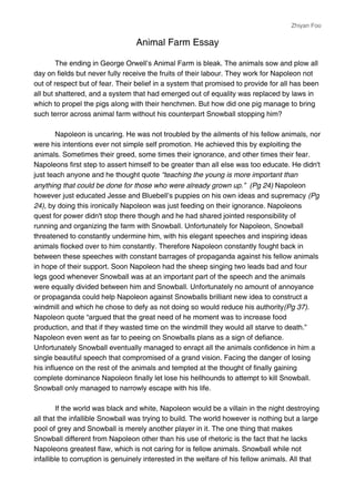 Animal essay | PAGES