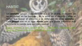 Animales silvestres | PPTX