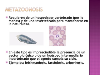 Animales sinantropicos | PDF