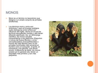 Animales terrestres | PPTX