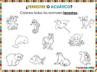 Animales terrestres y acuáticos | PDF