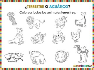 Animales terrestres y acuáticos | PDF