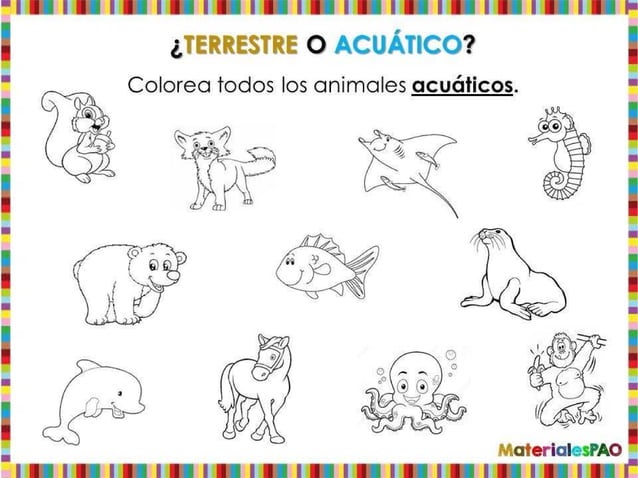 Ejercicio De Clasificacin Animales Terrestres Acuticos