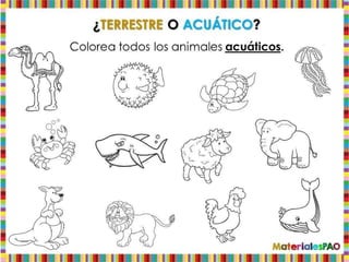 Ficha De Animales Terrestres Y Acuáticos