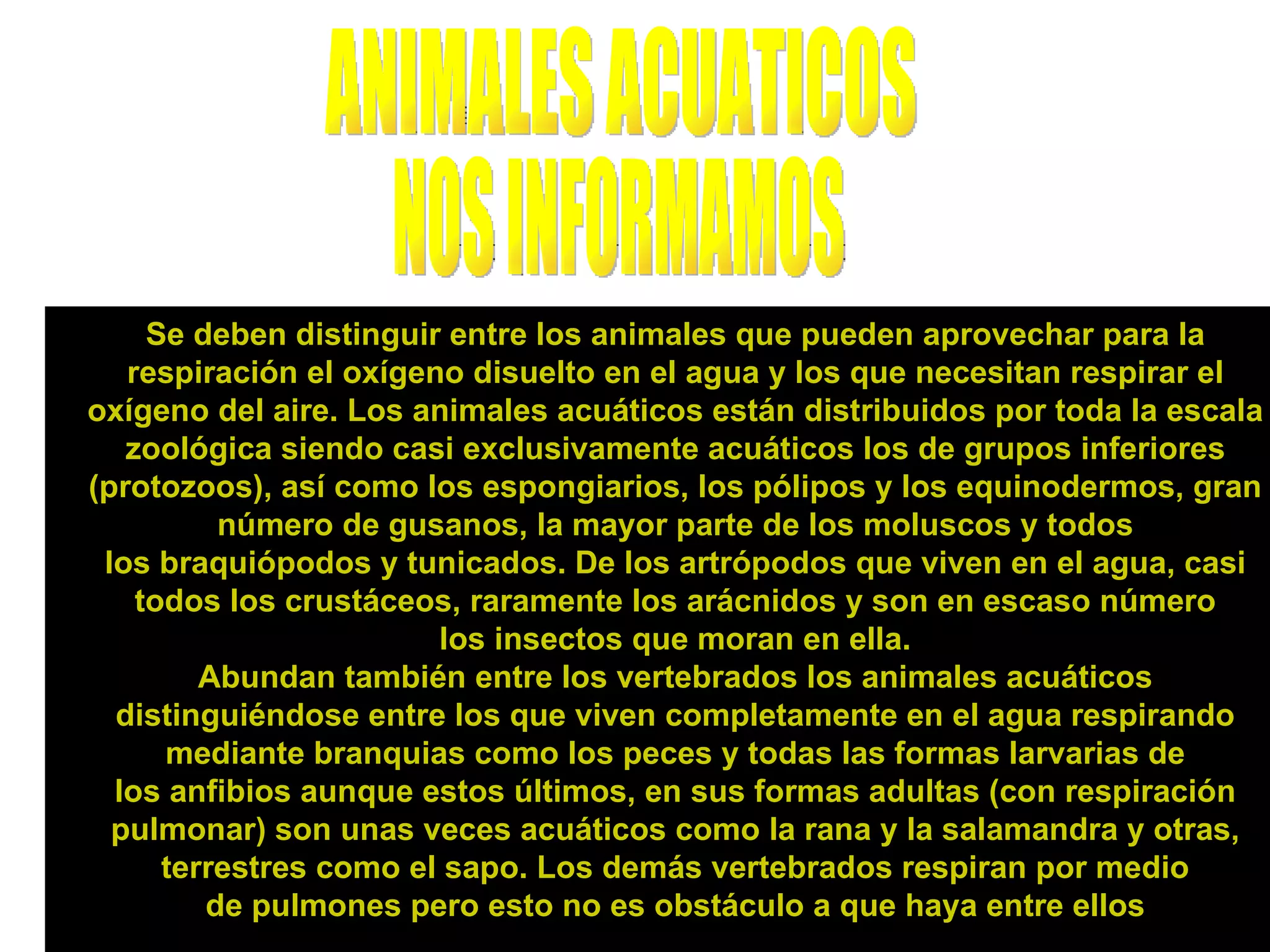 Animales terrestres y acuáticos a.rivera, m. rodriguez | PPT