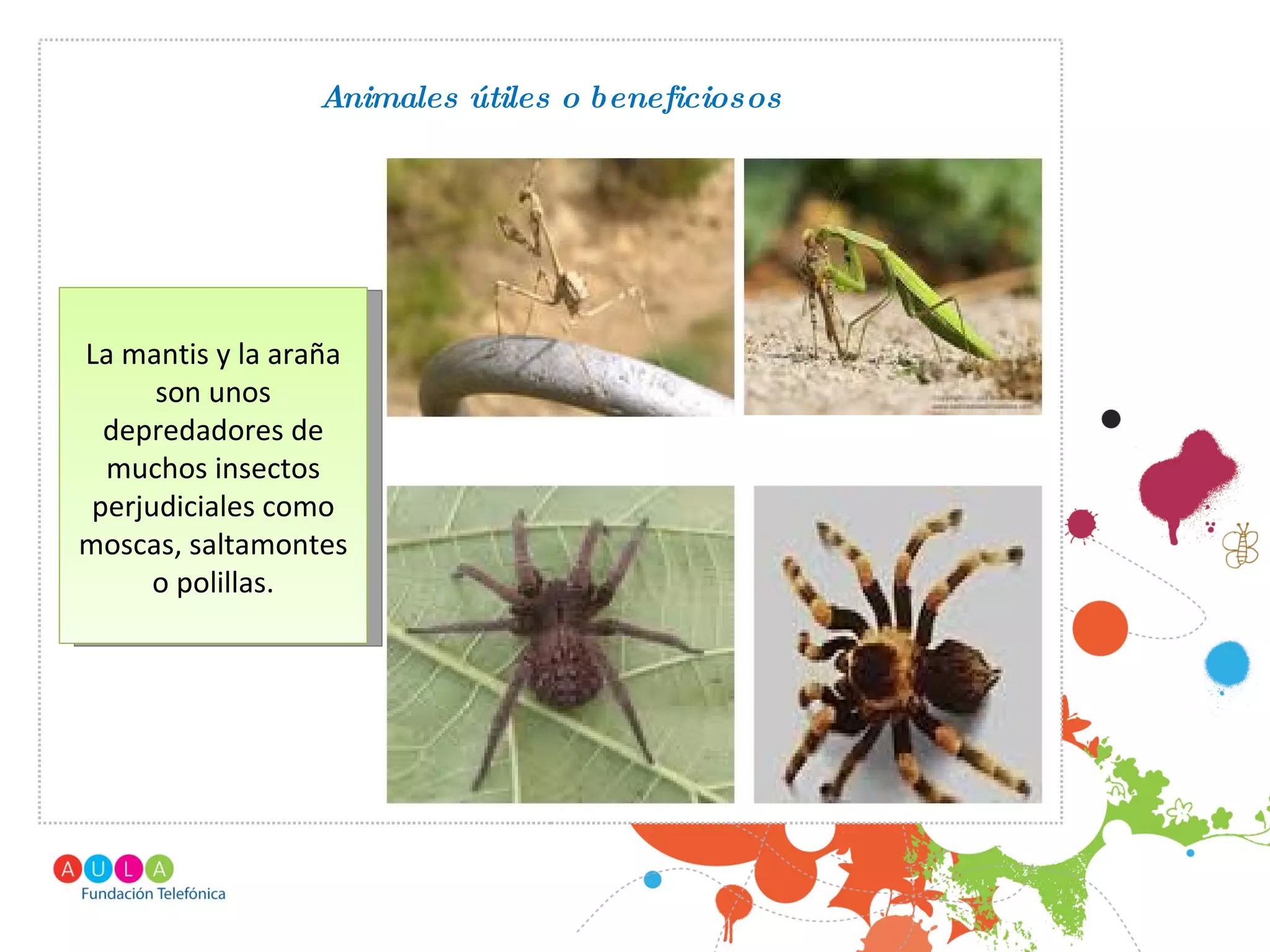 Animales Útiles y Perjudiciales | PPT
