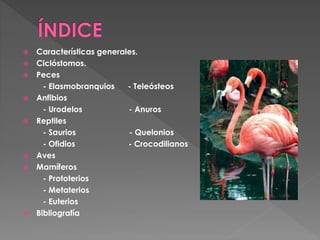 Animales vertebrados | PPTX